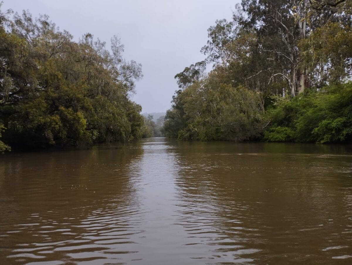 Charting Sustainable Waters | WMS' Holistic Approach To Responsible ...